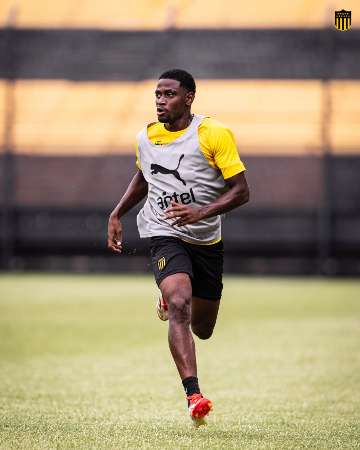Peñarol presentó a Luis Miguel Angulo - La Bola Sports